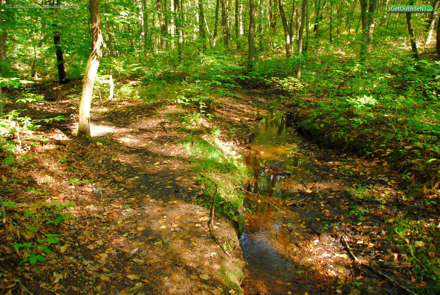 Middlesex County Parks & Recreation | Get Outside, New Jersey! (v5.1.0)